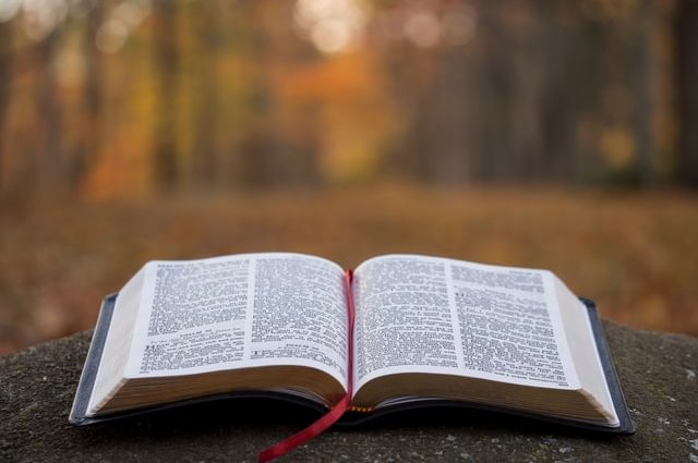 Beautiful King James Bibles For Sale Large Print STRONGINJESUS COM Beautiful King James Bibles For Sale Large Print STRONGINJESUS COM
